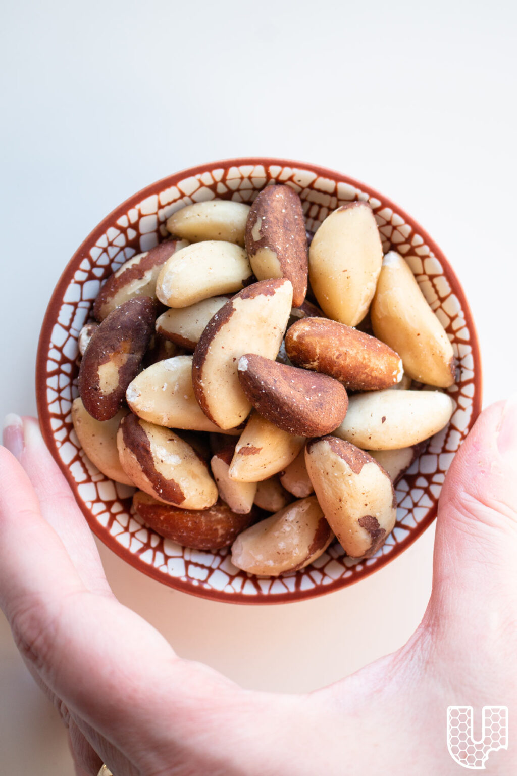 Brazil Nut: What is it and How to use it?