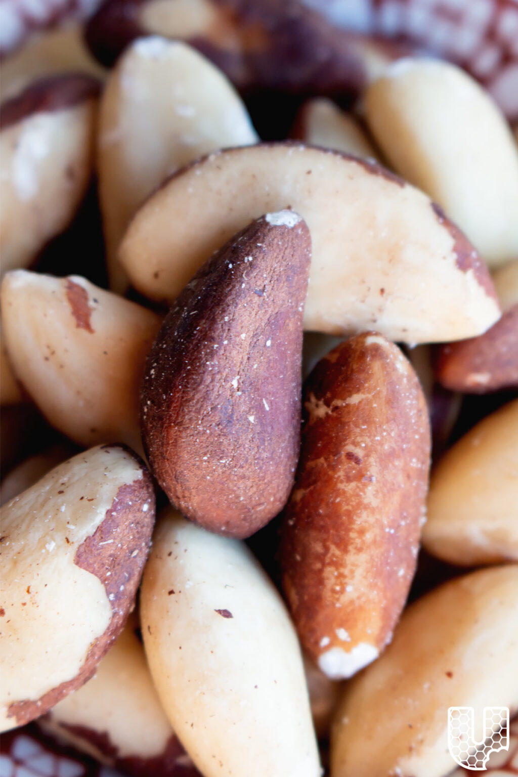 Brazil Nut: What is it and How to use it?