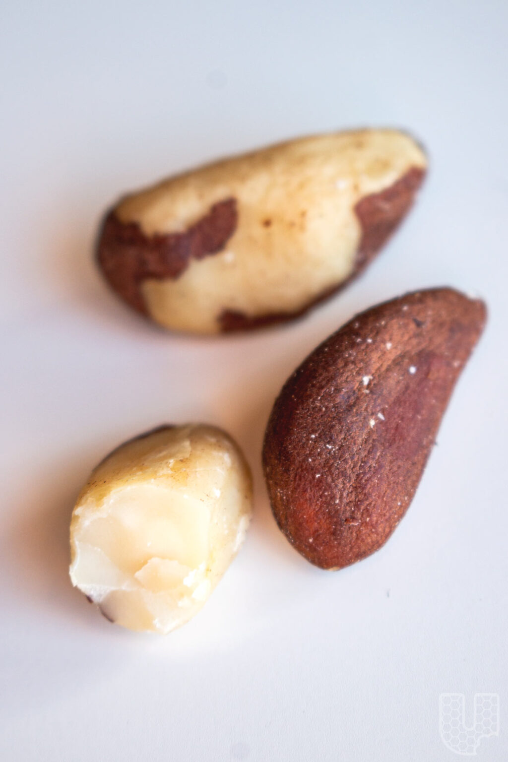 Brazil Nut: What is it and How to use it?