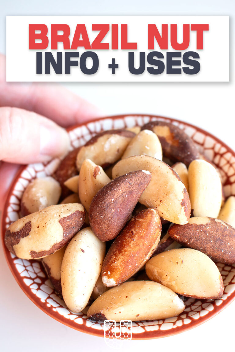 Brazil Nut: What is it and How to use it?