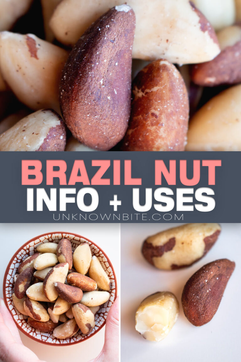 Brazil Nut: What is it and How to use it?