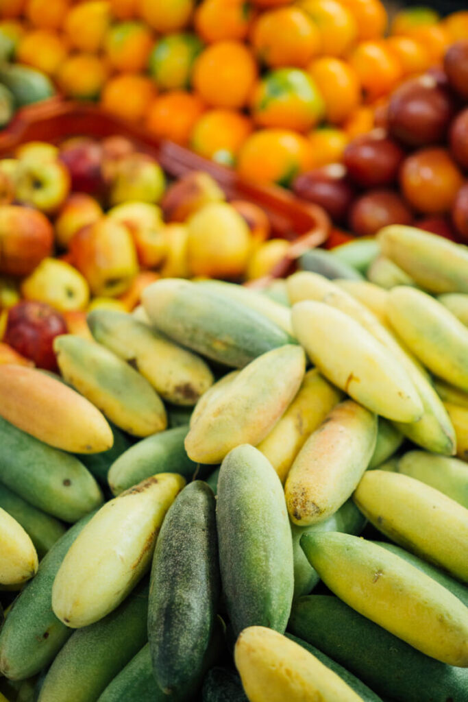 List of Tropical Fruits with Photos
