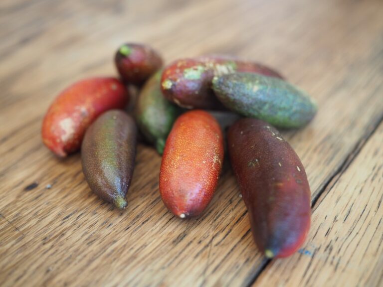 List of Tropical Fruits with Photos