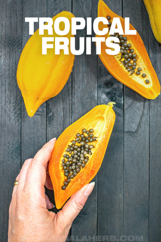 List of Tropical Fruits with Photos