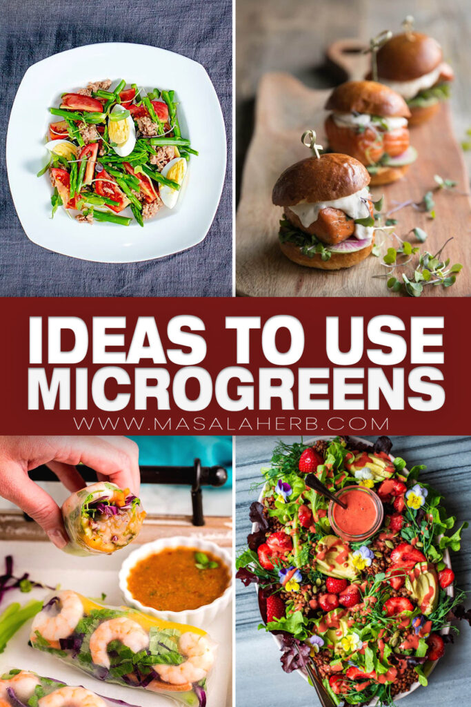 9 Tasty Ways to Use Microgreens